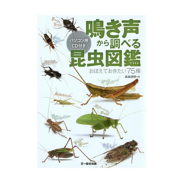 ※商品画像はイメージや仮デザインが含まれている場合があります。帯の有無など実際と異なる場合があります。著:高嶋清明出版社:文一総合出版発売日:2018年09月キーワード:鳴き声から調べる昆虫図鑑おぼえておきたい７５種高嶋清明 なきごえからし...