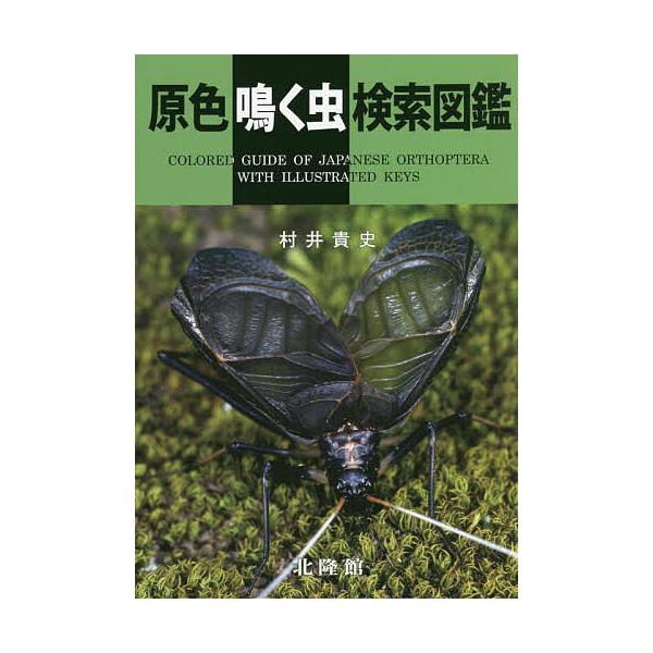 著:村井貴史出版社:北隆館発売日:2022年09月キーワード:原色鳴く虫検索図鑑村井貴史 げんしよくなくむしけんさくずかん ゲンシヨクナクムシケンサクズカン むらい たかし ムライ タカシ