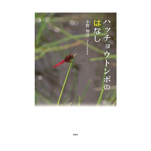 ※商品画像はイメージや仮デザインが含まれている場合があります。帯の有無など実際と異なる場合があります。著:小野知洋出版社:風媒社発売日:2026年05月キーワード:ハッチョウトンボのはなし小野知洋 はつちようとんぼのはなし ハツチヨウトンボ...