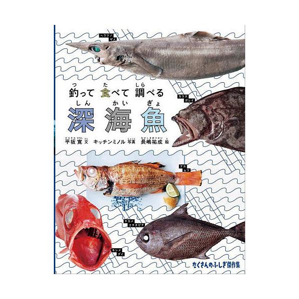 ※商品画像はイメージや仮デザインが含まれている場合があります。帯の有無など実際と異なる場合があります。文:平坂寛　写真:キッチンミノル　絵:長嶋祐成出版社:福音館書店発売日:2024年05月シリーズ名等:たくさんのふしぎ傑作集キーワード:釣...