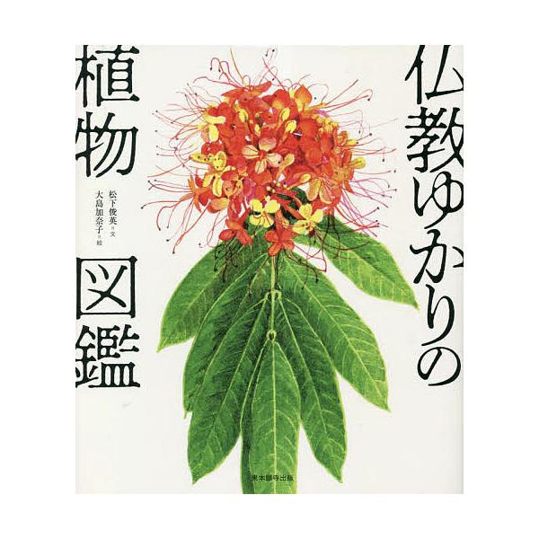 ※商品画像はイメージや仮デザインが含まれている場合があります。帯の有無など実際と異なる場合があります。出版社:東本願寺出版部発売日:2023年03月キーワード:仏教ゆかりの植物図鑑 ぶつきようゆかりのしよくぶつずかん ブツキヨウユカリノシヨ...
