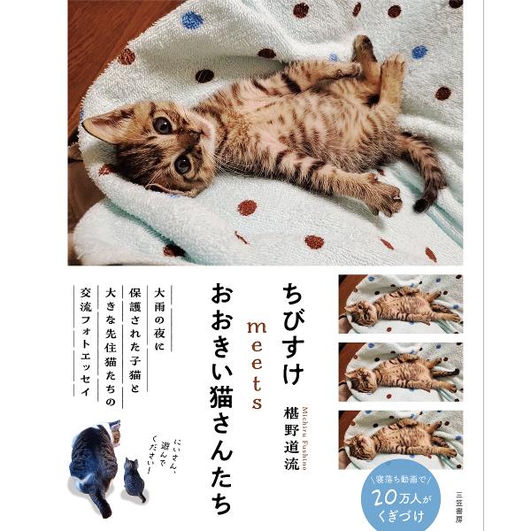 ※商品画像はイメージや仮デザインが含まれている場合があります。帯の有無など実際と異なる場合があります。著:椹野道流出版社:三笠書房発売日:2023年02月キーワード:ちびすけmeetsおおきい猫さんたち椹野道流 ちびすけみーつおおきいねこさ...