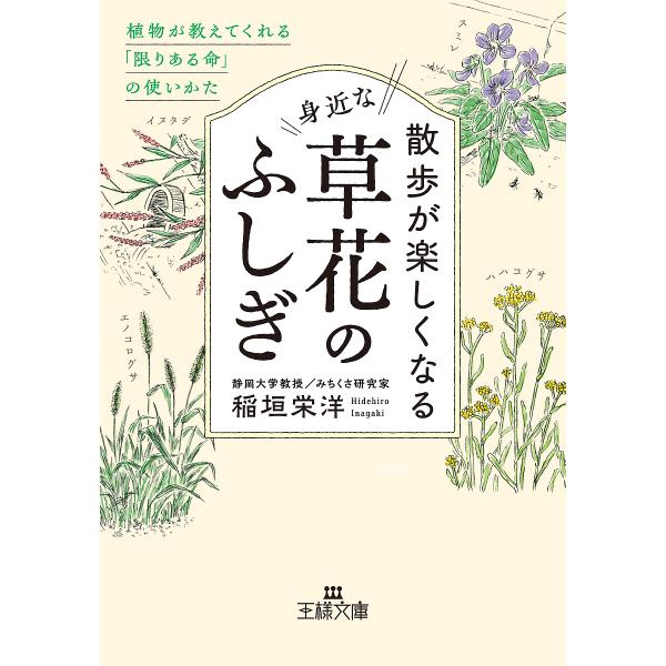 ※商品画像はイメージや仮デザインが含まれている場合があります。帯の有無など実際と異なる場合があります。著:稲垣栄洋出版社:三笠書房発売日:2024年05月シリーズ名等:王様文庫 A１０３−３キーワード:散歩が楽しくなる身近な草花のふしぎ稲垣...