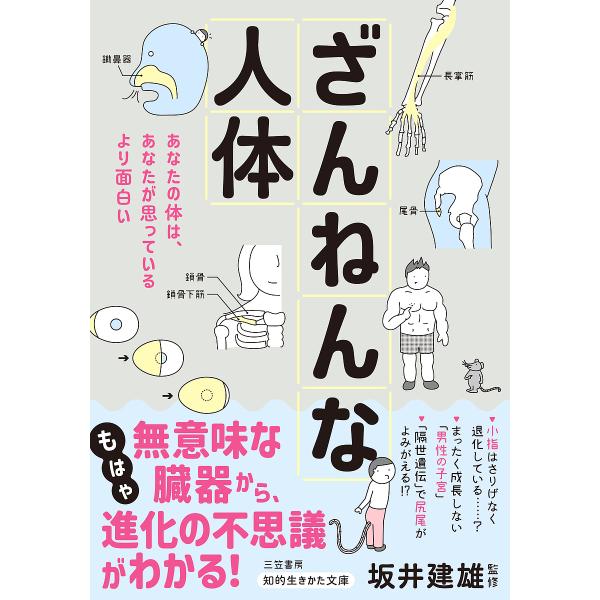 ※商品画像はイメージや仮デザインが含まれている場合があります。帯の有無など実際と異なる場合があります。監修:坂井建雄出版社:三笠書房発売日:2024年07月シリーズ名等:知的生きかた文庫 さ５７−１キーワード:ざんねんな人体坂井建雄 ざんね...