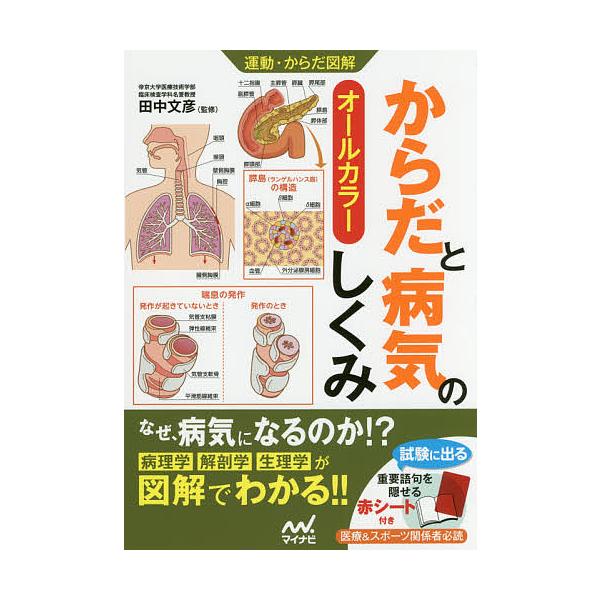 監修:田中文彦出版社:マイナビ出版発売日:2018年03月シリーズ名等:運動・からだ図解キーワード:からだと病気のしくみオールカラー田中文彦 からだとびようきのしくみおーるからー カラダトビヨウキノシクミオールカラー たなか ふみひこ タナ...