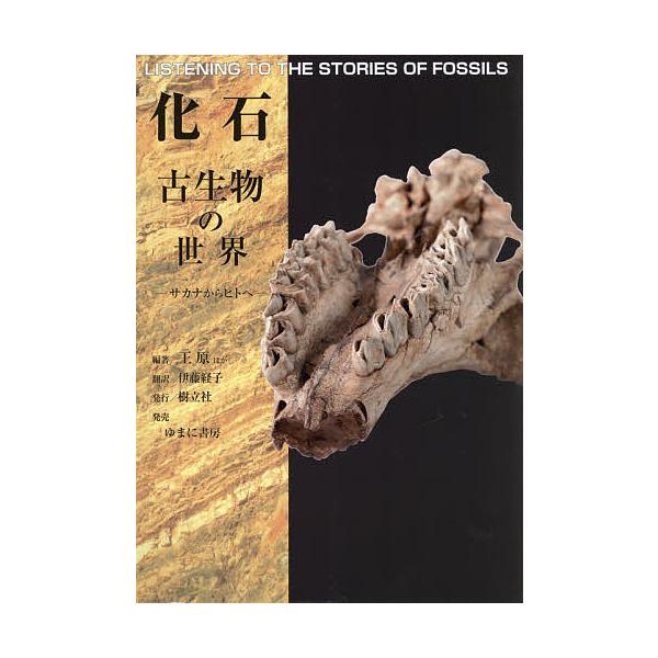 ほか編著:王原　訳:伊藤経子出版社:樹立社発売日:2021年04月キーワード:化石古生物の世界サカナからヒトへ王原伊藤経子 かせきこせいぶつのせかいさかなからひと カセキコセイブツノセカイサカナカラヒト おう げん いとう みちこ オウ ゲ...