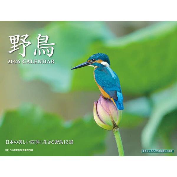 出版社:労働教育センター発売日:2025年09月キーワード:野鳥カレンダー２０２６ やちようかれんだー２０２６ ヤチヨウカレンダー２０２６ うちやまあきらどうぶつしやしん ウチヤマアキラドウブツシヤシン