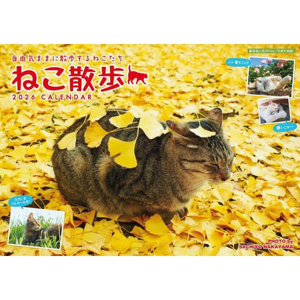 出版社:労働教育センター発売日:2025年09月キーワード:中山祥代ねこ散歩カレンダー２０２６ なかやまさちよねこさんぽかれんだー２０２６ ナカヤマサチヨネコサンポカレンダー２０２６ なかやまさちよ ナカヤマサチヨ