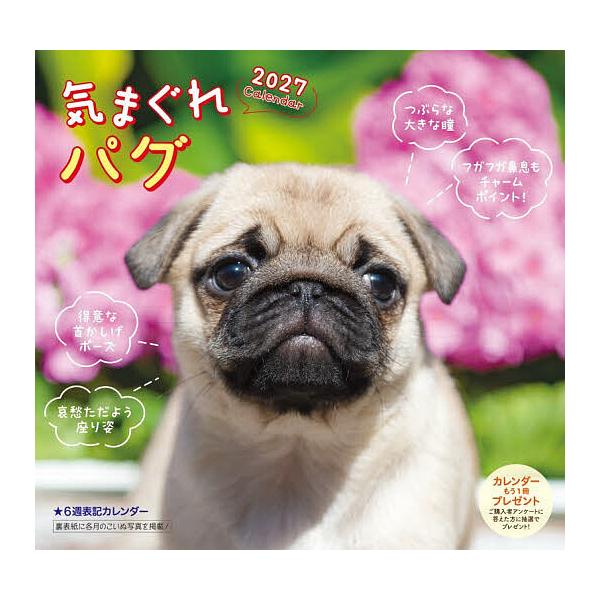 ※商品画像はイメージや仮デザインが含まれている場合があります。帯の有無など実際と異なる場合があります。出版社:労働教育センター発売日:2026年09月キーワード:’２７気まぐれパグカレンダー ２０２７きまぐれぱぐかれんだー ２０２７キマグレ...