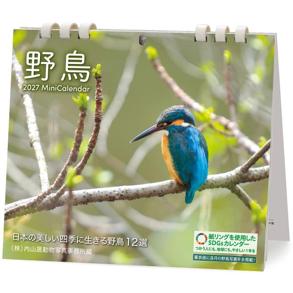 【発売日：2026年09月25日】※商品画像はイメージや仮デザインが含まれている場合があります。帯の有無など実際と異なる場合があります。内山晟動物写真事務所　写真:柳沼俊之出版社:労働教育センター発売日:2026年09月25日キーワード:ミ...