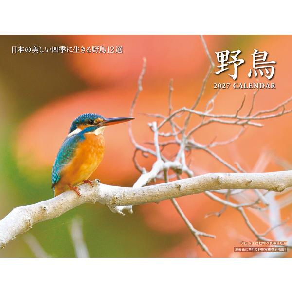 【発売日：2026年09月25日】※商品画像はイメージや仮デザインが含まれている場合があります。帯の有無など実際と異なる場合があります。内山晟動物写真事務所　写真:柳沼俊之出版社:労働教育センター発売日:2026年09月25日キーワード:野...