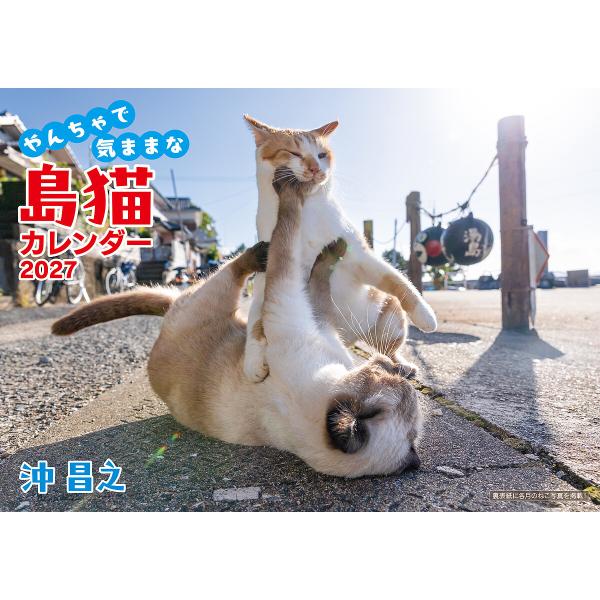 【発売日：2026年09月25日】※商品画像はイメージや仮デザインが含まれている場合があります。帯の有無など実際と異なる場合があります。写真:沖昌之出版社:労働教育センター発売日:2026年09月25日キーワード:沖昌之やんちゃで気ままな島...