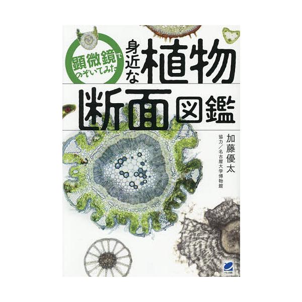 ※商品画像はイメージや仮デザインが含まれている場合があります。帯の有無など実際と異なる場合があります。著:加藤優太出版社:ベレ出版発売日:2026年07月キーワード:顕微鏡でのぞいてみた身近な植物断面図鑑加藤優太 けんびきようでのぞいてみた...