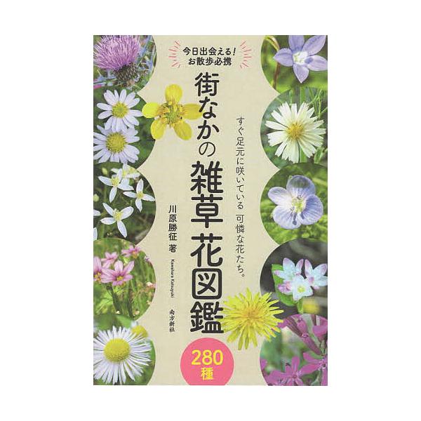 ※商品画像はイメージや仮デザインが含まれている場合があります。帯の有無など実際と異なる場合があります。著:川原勝征出版社:南方新社発売日:2025年05月キーワード:街なかの雑草花図鑑２８０種川原勝征 まちなかのざつそうはなずかんにひやくは...