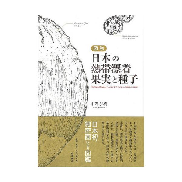 ※商品画像はイメージや仮デザインが含まれている場合があります。帯の有無など実際と異なる場合があります。著:中西弘樹出版社:南方新社発売日:2026年05月キーワード:図説日本の熱帯漂着果実と種子中西弘樹 ずせつにほんのねつたいひようちやくか...