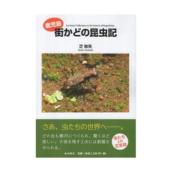 ※商品画像はイメージや仮デザインが含まれている場合があります。帯の有無など実際と異なる場合があります。著:芝敏晃出版社:南方新社発売日:2026年08月キーワード:鹿児島・街かどの昆虫記芝敏晃 かごしままちかどのこんちゆうき カゴシママチカ...