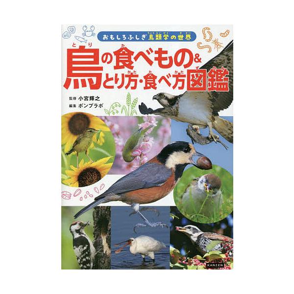 ※商品画像はイメージや仮デザインが含まれている場合があります。帯の有無など実際と異なる場合があります。監修:小宮輝之　編集:ポンプラボ出版社:カンゼン発売日:2023年04月シリーズ名等:おもしろふしぎ鳥類学の世界キーワード:鳥の食べもの＆...
