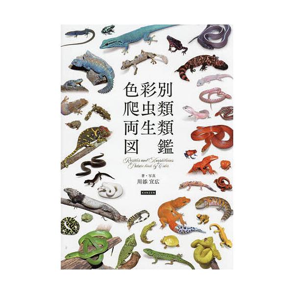 著:川添宣広出版社:カンゼン発売日:2023年09月キーワード:色彩別爬虫類・両生類図鑑川添宣広 しきさいべつはちゆうるいりようせいるいずかん シキサイベツハチユウルイリヨウセイルイズカン かわぞえ のぶひろ カワゾエ ノブヒロ