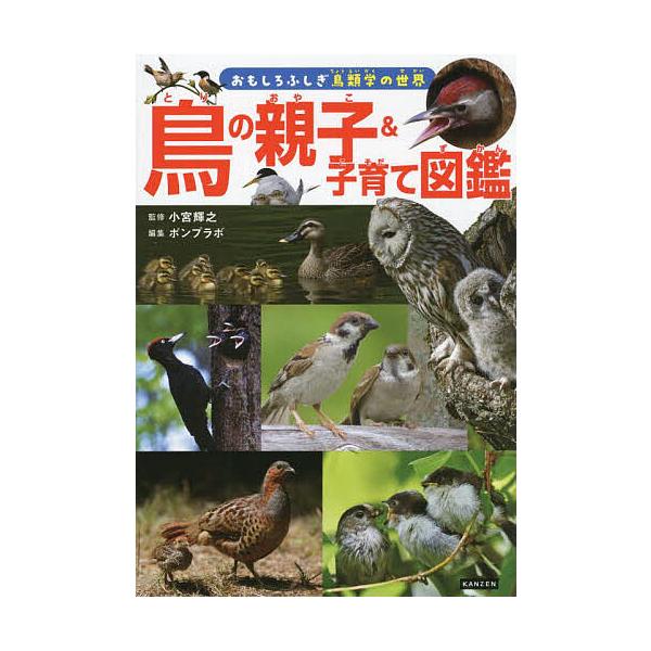 ※商品画像はイメージや仮デザインが含まれている場合があります。帯の有無など実際と異なる場合があります。監修:小宮輝之　編集:ポンプラボ出版社:カンゼン発売日:2023年11月シリーズ名等:おもしろふしぎ鳥類学の世界キーワード:鳥の親子＆子育...