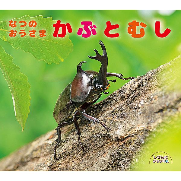 出版社:ひさかたチャイルド発売日:2019年06月シリーズ名等:しぜんにタッチ！キーワード:なつのおうさまかぶとむし えほん 絵本 プレゼント ギフト 誕生日 子供 クリスマス 子ども こども なつのおうさまかぶとむしさんちやいるどびつぐ ...