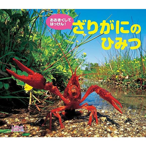 出版社:ひさかたチャイルド発売日:2020年02月シリーズ名等:しぜんにタッチ！キーワード:おおきくしてはっけん！ざりがにのひみつ えほん 絵本 プレゼント ギフト 誕生日 子供 クリスマス 子ども こども おおきくしてはつけんざりがにのひ...
