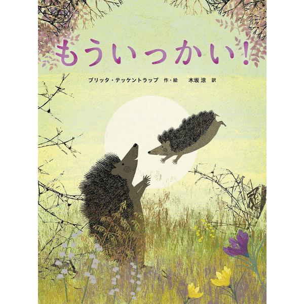 ※商品画像はイメージや仮デザインが含まれている場合があります。帯の有無など実際と異なる場合があります。作・絵:ブリッタ・テッケントラップ　訳:木坂涼出版社:ひさかたチャイルド発売日:2025年02月キーワード:もういっかい！ブリッタ・テッケ...