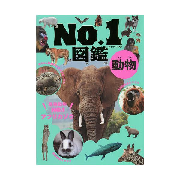 ※商品画像はイメージや仮デザインが含まれている場合があります。帯の有無など実際と異なる場合があります。監修:藤原尚太郎出版社:文響社発売日:2021年03月キーワード:動物No．１図鑑藤原尚太郎 どうぶつなんばーわんずかんなんばーわんずかん...