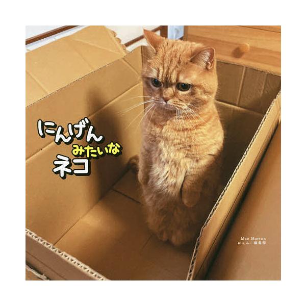 ※商品画像はイメージや仮デザインが含まれている場合があります。帯の有無など実際と異なる場合があります。著:MacMarron　編集:にゃんこ編集部出版社:ロングランドジェイ発売日:2020年06月キーワード:にんげんみたいなネコMacMar...