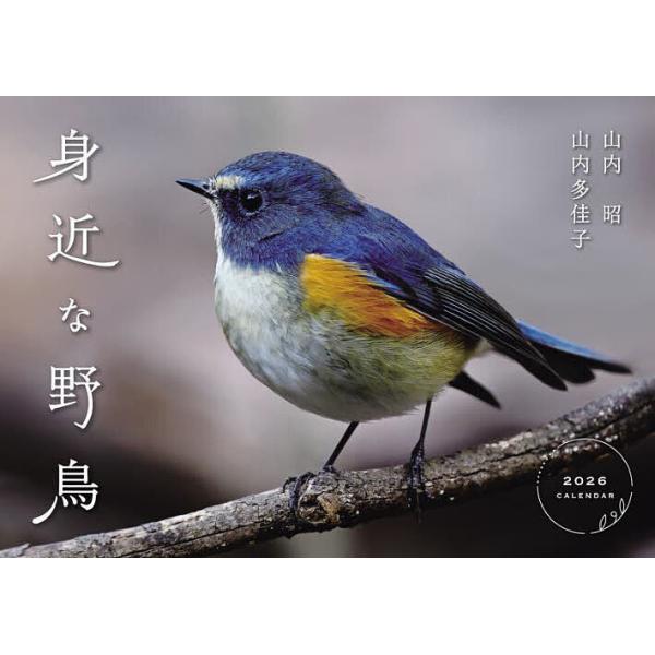 出版社:緑書房発売日:2025年10月キーワード:身近な野鳥CALENDAR２０２６ みぢかなやちようかれんだー２０２６ ミヂカナヤチヨウカレンダー２０２６ やまのうちあきら やまのうちた ヤマノウチアキラ ヤマノウチタ