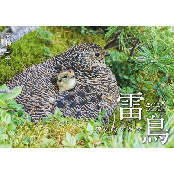 出版社:緑書房発売日:2025年10月キーワード:雷鳥神の鳥の四季CALENDAR２０２６ らいちようかみのとりのしきかれんだー２０２６ ライチヨウカミノトリノシキカレンダー２０２６ たかはしこうへい タカハシコウヘイ