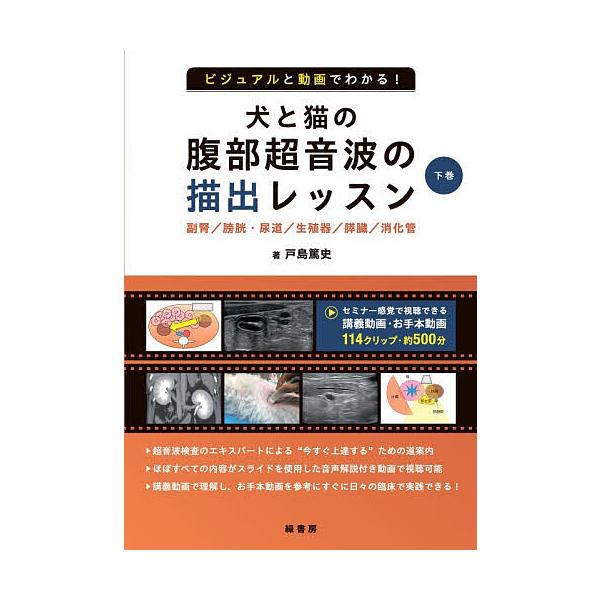※商品画像はイメージや仮デザインが含まれている場合があります。帯の有無など実際と異なる場合があります。著:戸島篤史出版社:緑書房発売日:2025年12月キーワード:ビジュアルと動画でわかる！犬と猫の腹部超音波の描出レッスン下巻戸島篤史 びじ...
