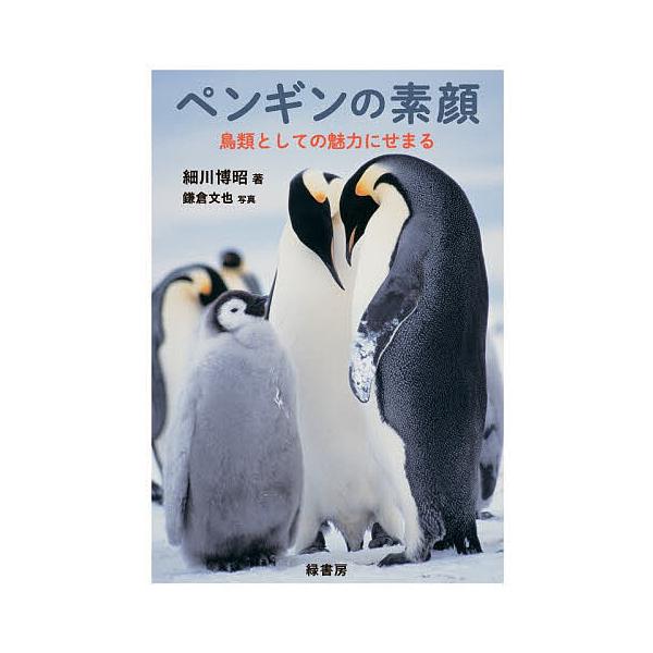 ※商品画像はイメージや仮デザインが含まれている場合があります。帯の有無など実際と異なる場合があります。著:細川博昭　写真:鎌倉文也出版社:緑書房発売日:2025年12月キーワード:ペンギンの素顔鳥類としての魅力にせまる細川博昭鎌倉文也 ぺん...