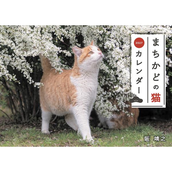 【発売日：2026年09月10日】※商品画像はイメージや仮デザインが含まれている場合があります。帯の有無など実際と異なる場合があります。写真:阪靖之出版社:緑書房発売日:2026年09月10日キーワード:まちかどの猫カレンダー２０２７阪靖之...