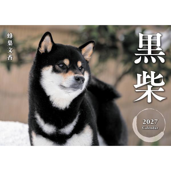 【発売日：2026年09月10日】※商品画像はイメージや仮デザインが含まれている場合があります。帯の有無など実際と異なる場合があります。写真:蜂巣文香出版社:緑書房発売日:2026年09月10日キーワード:黒柴カレンダー２０２７蜂巣文香 く...