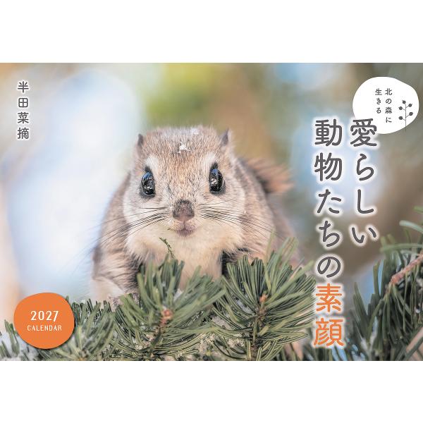 【発売日：2026年09月10日】※商品画像はイメージや仮デザインが含まれている場合があります。帯の有無など実際と異なる場合があります。写真:半田菜摘出版社:緑書房発売日:2026年09月10日キーワード:北の森に生きる愛らしい動物たちの素...