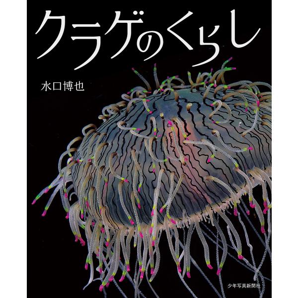 著:水口博也出版社:少年写真新聞社発売日:2024年07月シリーズ名等:少年写真新聞社写真絵本キーワード:クラゲのくらし水口博也 えほん 絵本 プレゼント ギフト 誕生日 子供 クリスマス 子ども こども くらげのくらししようねんしやしんし...