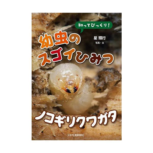※商品画像はイメージや仮デザインが含まれている場合があります。帯の有無など実際と異なる場合があります。写真:星輝行出版社:少年写真新聞社発売日:2026年07月キーワード:知ってびっくり！幼虫のスゴイひみつノコギリクワガタ星輝行 えほん 絵...