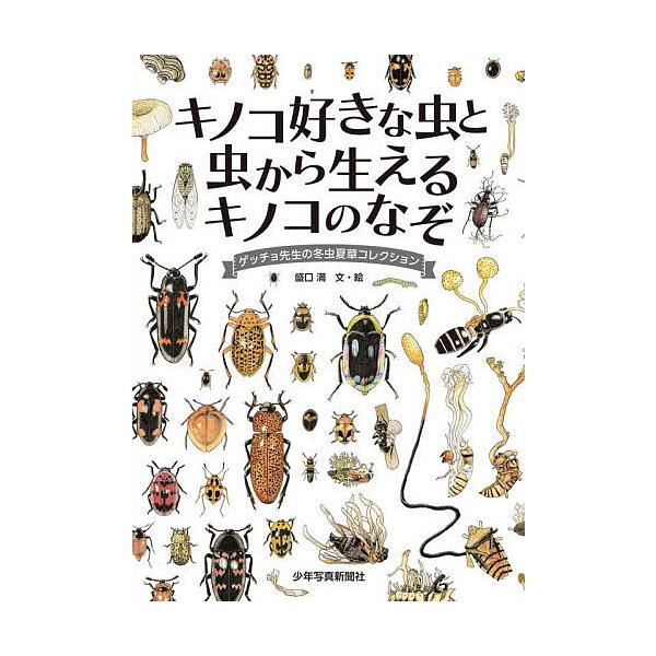 ※商品画像はイメージや仮デザインが含まれている場合があります。帯の有無など実際と異なる場合があります。文:盛口満出版社:少年写真新聞社発売日:2026年06月キーワード:キノコ好きな虫と虫から生えるキノコのなぞゲッチョ先生の冬虫夏草コレクシ...