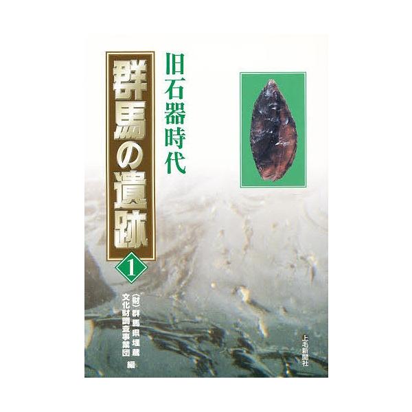 編:群馬県埋蔵文化財調査事業団出版社:上毛新聞社発売日:2005年03月巻数:1巻キーワード:群馬の遺跡１群馬県埋蔵文化財調査事業団 ぐんまのいせき１きゆうせつきじだい グンマノイセキ１キユウセツキジダイ ぐんまけん／まいぞう／ぶんかざ グ...