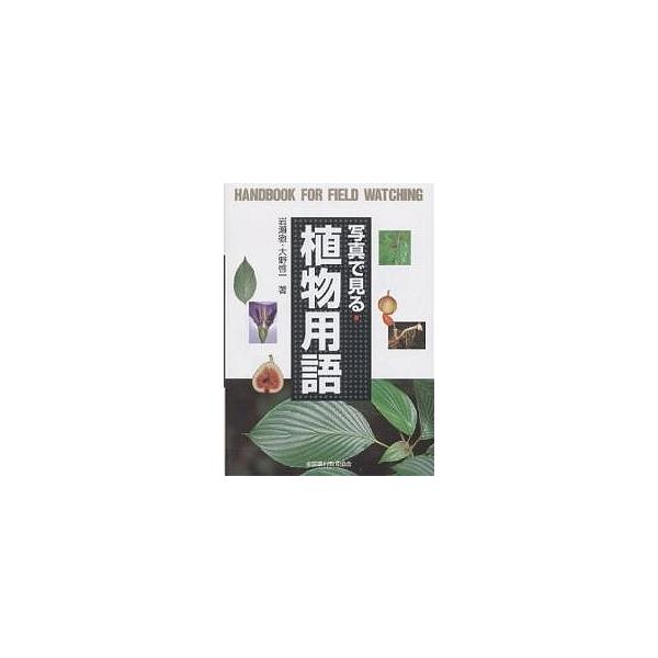 ※商品画像はイメージや仮デザインが含まれている場合があります。帯の有無など実際と異なる場合があります。著:岩瀬徹　著:大野啓一出版社:全国農村教育協会発売日:2004年05月シリーズ名等:野外観察ハンドブックキーワード:写真で見る植物用語岩...