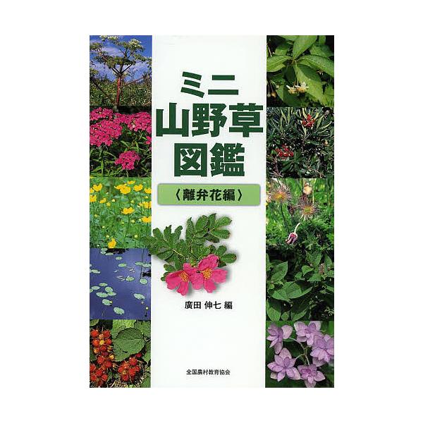 編:廣田伸七出版社:全国農村教育協会発売日:2013年10月キーワード:ミニ山野草図鑑離弁花編廣田伸七 みにさんやそうずかんりべんかへん ミニサンヤソウズカンリベンカヘン ひろた しんしち ヒロタ シンシチ