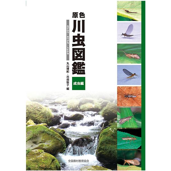 出版社:全国農村教育協会発売日:2016年11月キーワード:原色川虫図鑑成虫編 げんしよくかわむしずかんせいちゆうへんかげろうかわ ゲンシヨクカワムシズカンセイチユウヘンカゲロウカワ まるやま ひろき はなだ さと マルヤマ ヒロキ ハナダ サト