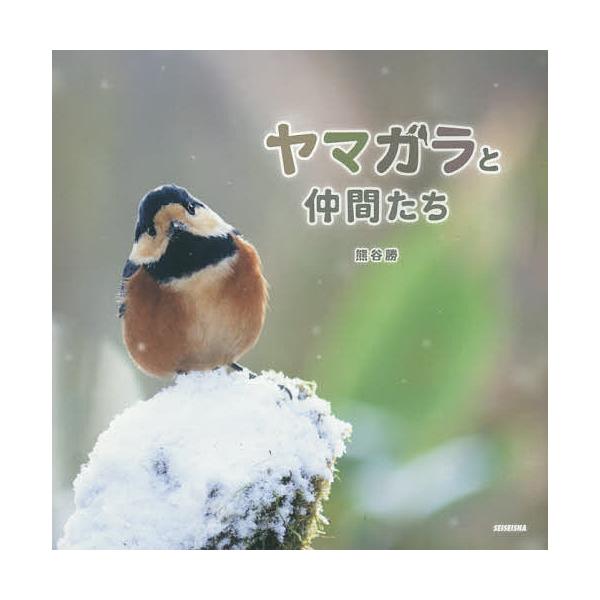 ※商品画像はイメージや仮デザインが含まれている場合があります。帯の有無など実際と異なる場合があります。著:熊谷勝出版社:青菁社発売日:2017年10月キーワード:ヤマガラと仲間たち熊谷勝 やまがらとなかまたち ヤマガラトナカマタチ くまがい...