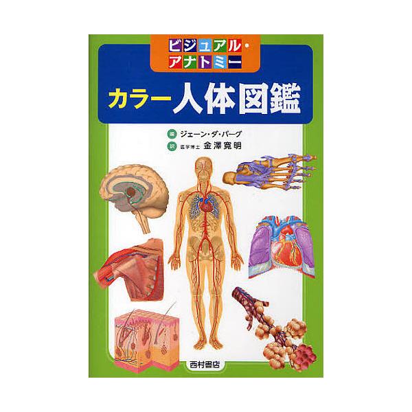 著:ジェーン・ダ・バーグ　訳:金澤寛明出版社:西村書店発売日:2010年02月キーワード:カラー人体図鑑ビジュアル・アナトミージェーン・ダ・バーグ金澤寛明 からーじんたいずかんびじゆあるあなとみー カラージンタイズカンビジユアルアナトミー ...