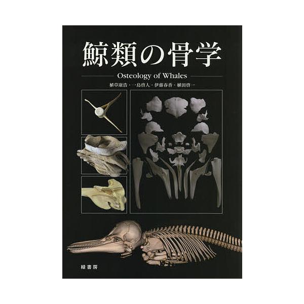 ※商品画像はイメージや仮デザインが含まれている場合があります。帯の有無など実際と異なる場合があります。著:植草康浩　著:一島啓人　著:伊藤春香出版社:緑書房発売日:2019年02月キーワード:鯨類の骨学植草康浩一島啓人伊藤春香 げいるいのこ...
