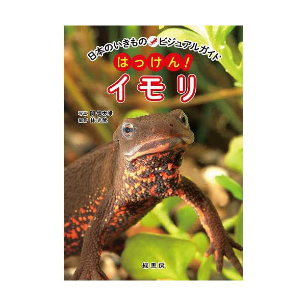 ※商品画像はイメージや仮デザインが含まれている場合があります。帯の有無など実際と異なる場合があります。編著:林光武　写真:関慎太郎出版社:緑書房発売日:2022年08月シリーズ名等:日本のいきものビジュアルガイドキーワード:はっけん！イモリ...