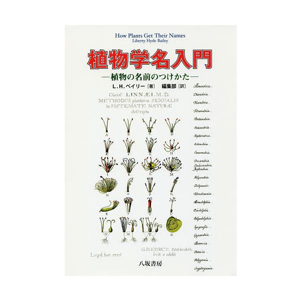※商品画像はイメージや仮デザインが含まれている場合があります。帯の有無など実際と異なる場合があります。著:L．H．ベイリー　訳:八坂書房編集部出版社:八坂書房発売日:2017年07月キーワード:植物学名入門植物の名前のつけかた新装版L．H．...