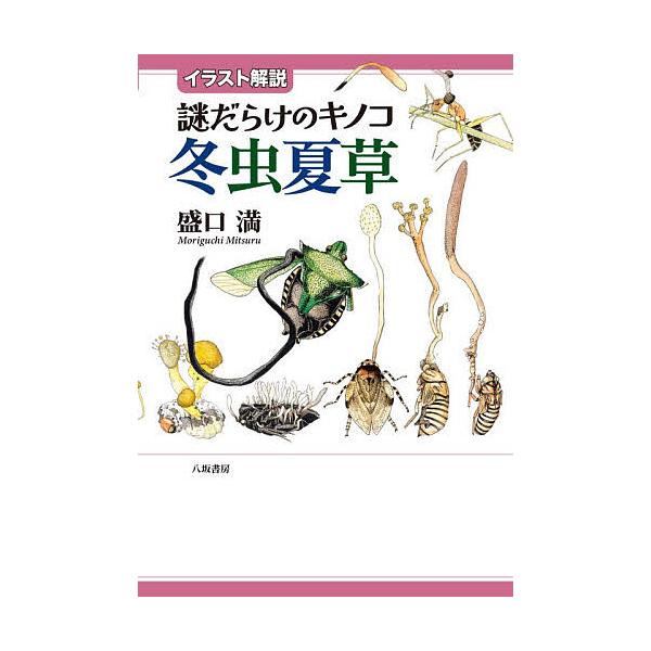 ※商品画像はイメージや仮デザインが含まれている場合があります。帯の有無など実際と異なる場合があります。著:盛口満出版社:八坂書房発売日:2026年08月キーワード:謎だらけのキノコ冬虫夏草イラスト解説盛口満 なぞだらけのきのことうちゆうかそ...