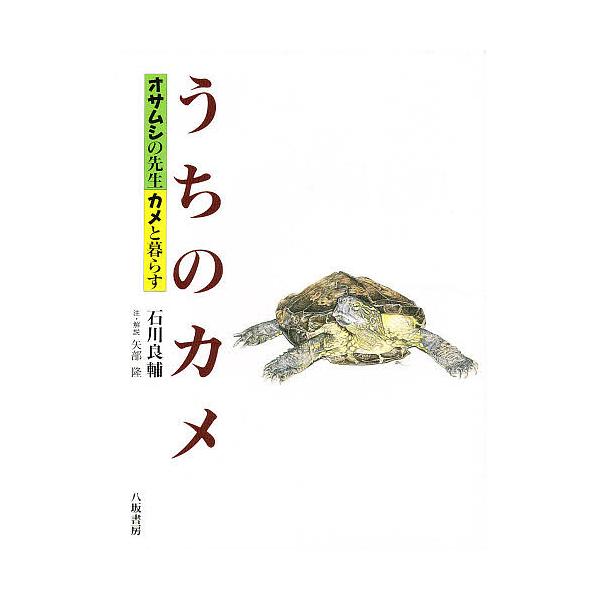 ※商品画像はイメージや仮デザインが含まれている場合があります。帯の有無など実際と異なる場合があります。著:石川良輔出版社:八坂書房発売日:1994年04月キーワード:うちのカメオサムシの先生カメと暮らす石川良輔 うちのかめおさむしのせんせい...
