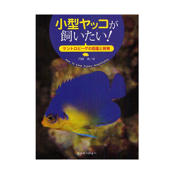 ※商品画像はイメージや仮デザインが含まれている場合があります。帯の有無など実際と異なる場合があります。著:円藤清出版社:エムピージェー発売日:2011年01月シリーズ名等:アクアライフの本キーワード:小型ヤッコが飼いたい！ケントロピーゲの図...
